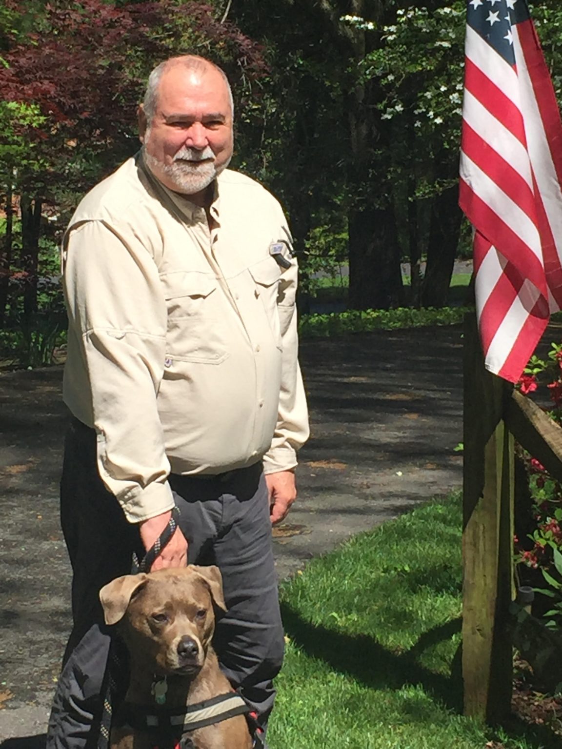 Reference: National Intelligence Model (NIM) – Public Intelligence Blog